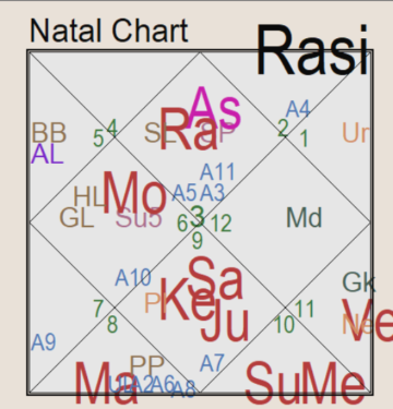 Rashi Lagna — Astrojyoti Healing and Branding Services